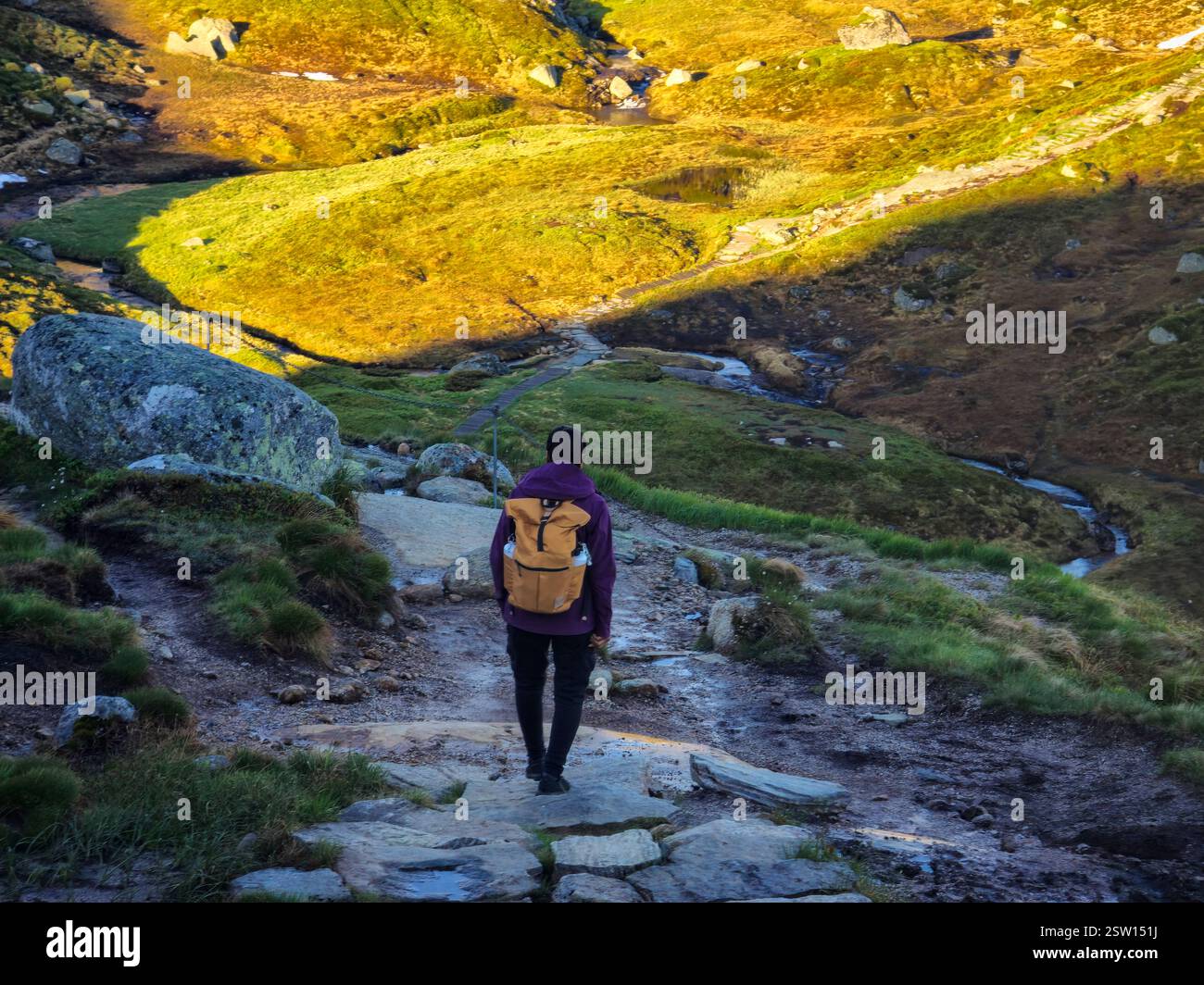 Exploring Norway's Lush Trails at Dawn With a Adventurer's Backpack ...