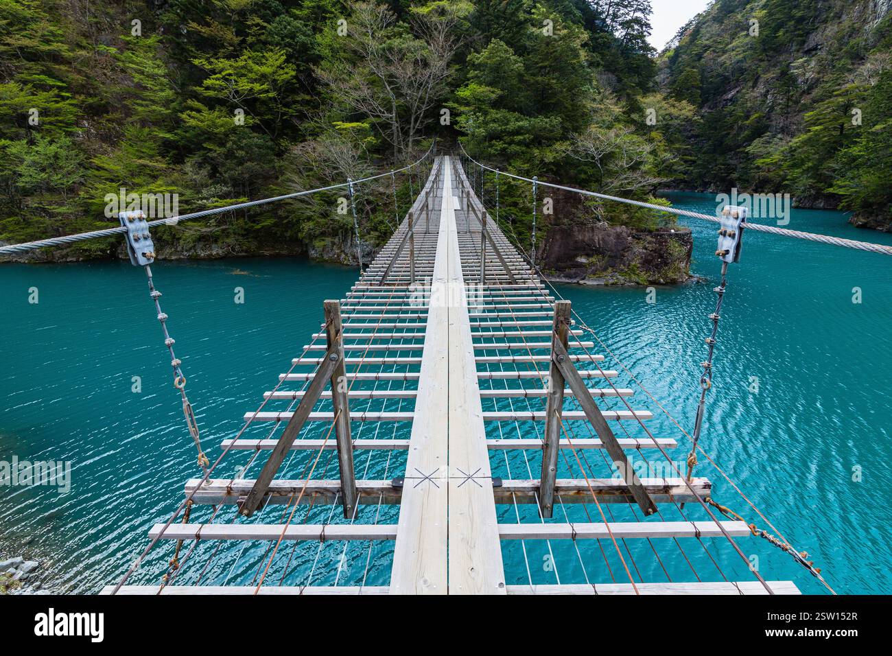 Dream suspension bridge in Sunmata Gorge, Kawanehon-cho, Shizuoka ...
