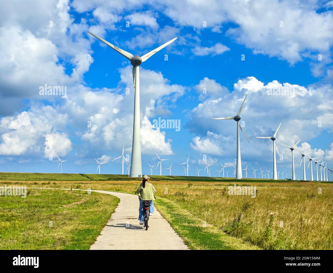 A cyclist rides along a path surrounded by towering wind turbines under ...