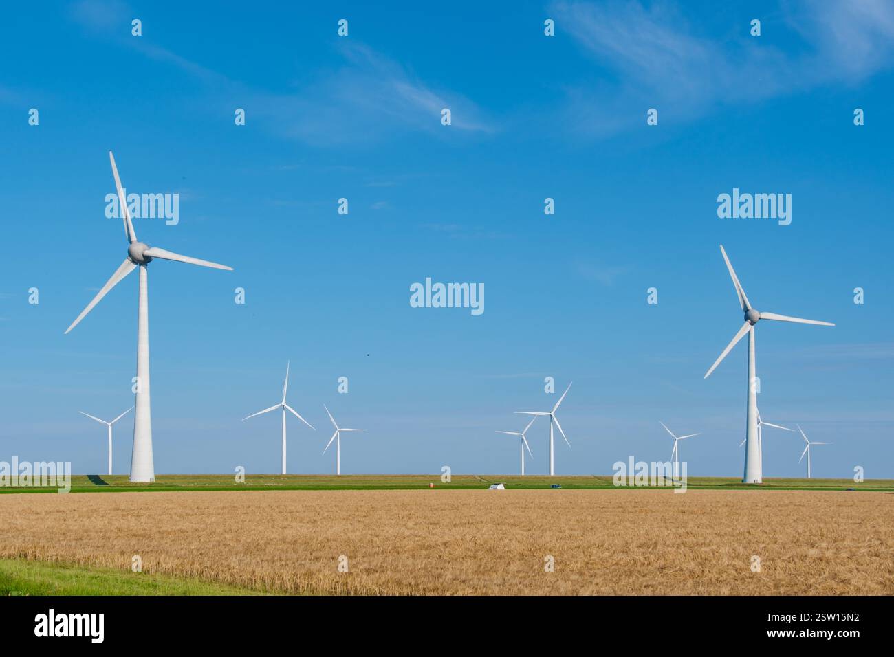 Expansive Wind Turbines Harnessing Renewable Energy in the Dutch ...