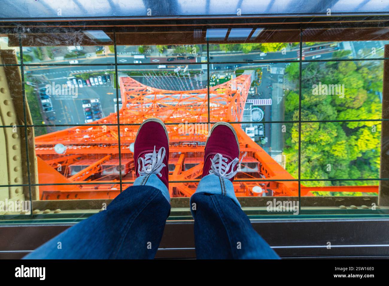 Scenery from the look-down window of Tokyo Tower, Shiba Park, Minato-ku, Tokyo, Japan Stock ...