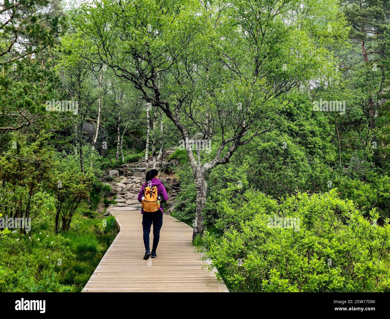 Rustic wooden boardwalk through hi-res stock photography and images - Alamy