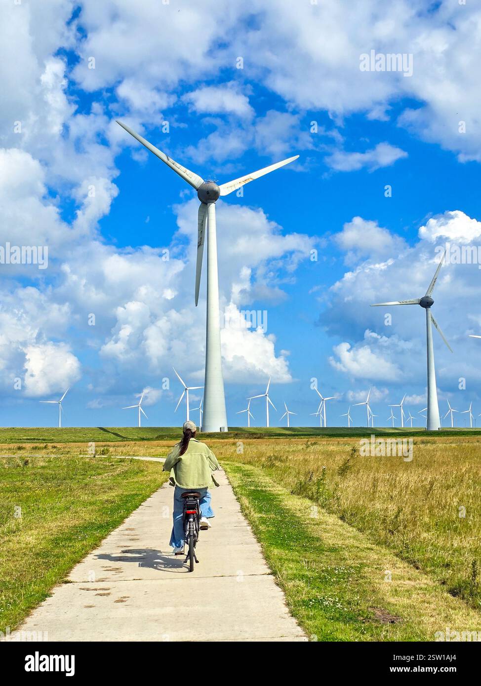 A cyclist rides along a pathway surrounded by towering wind turbines ...