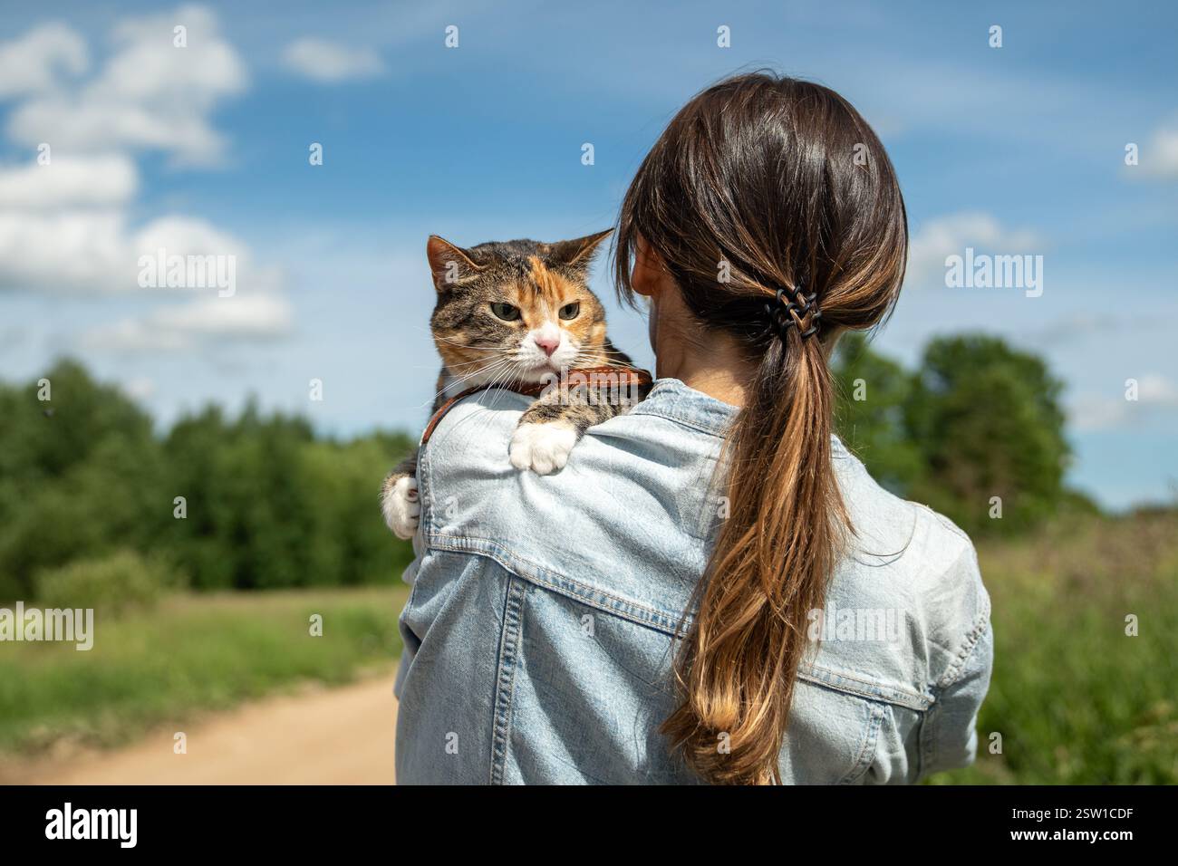 Rear view of woman walking cute tabby cat in collar, carrys on shoulder ...