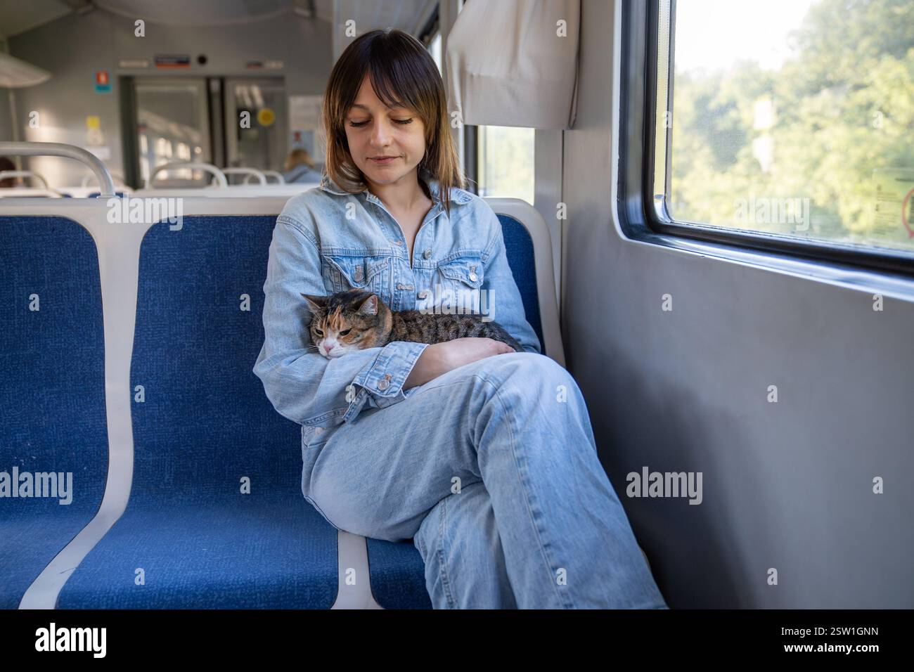 Relaxed girl holding hugging frightened kitten. Stressful pet sitting ...