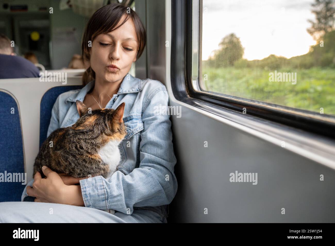 Calm peaceful woman and tricolor cat riding together by train, traveling in sitting public ...