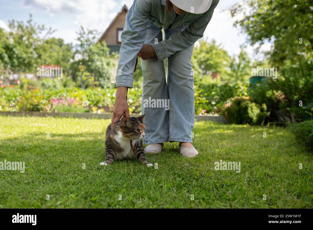 Frightened cat looking around tensely, clinging to green grass. Owner ...