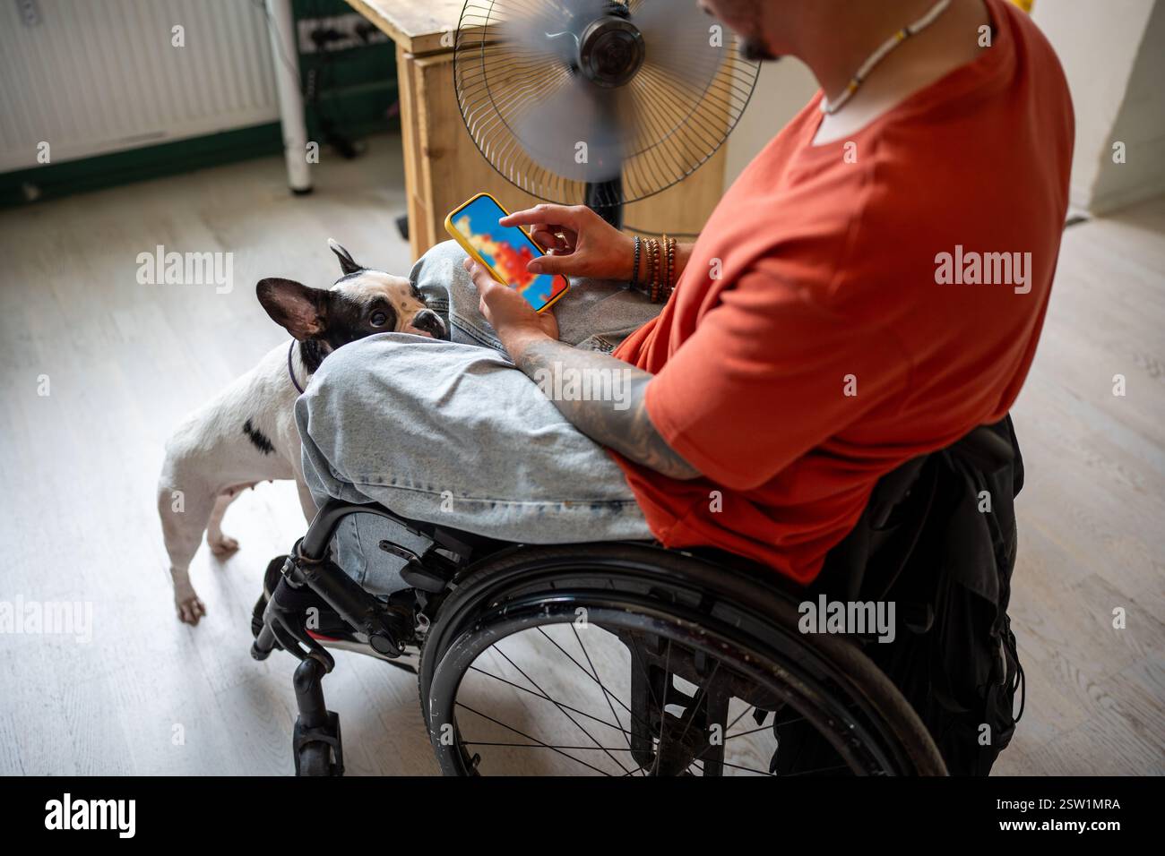 Fan looks screen on hi-res stock photography and images - Alamy