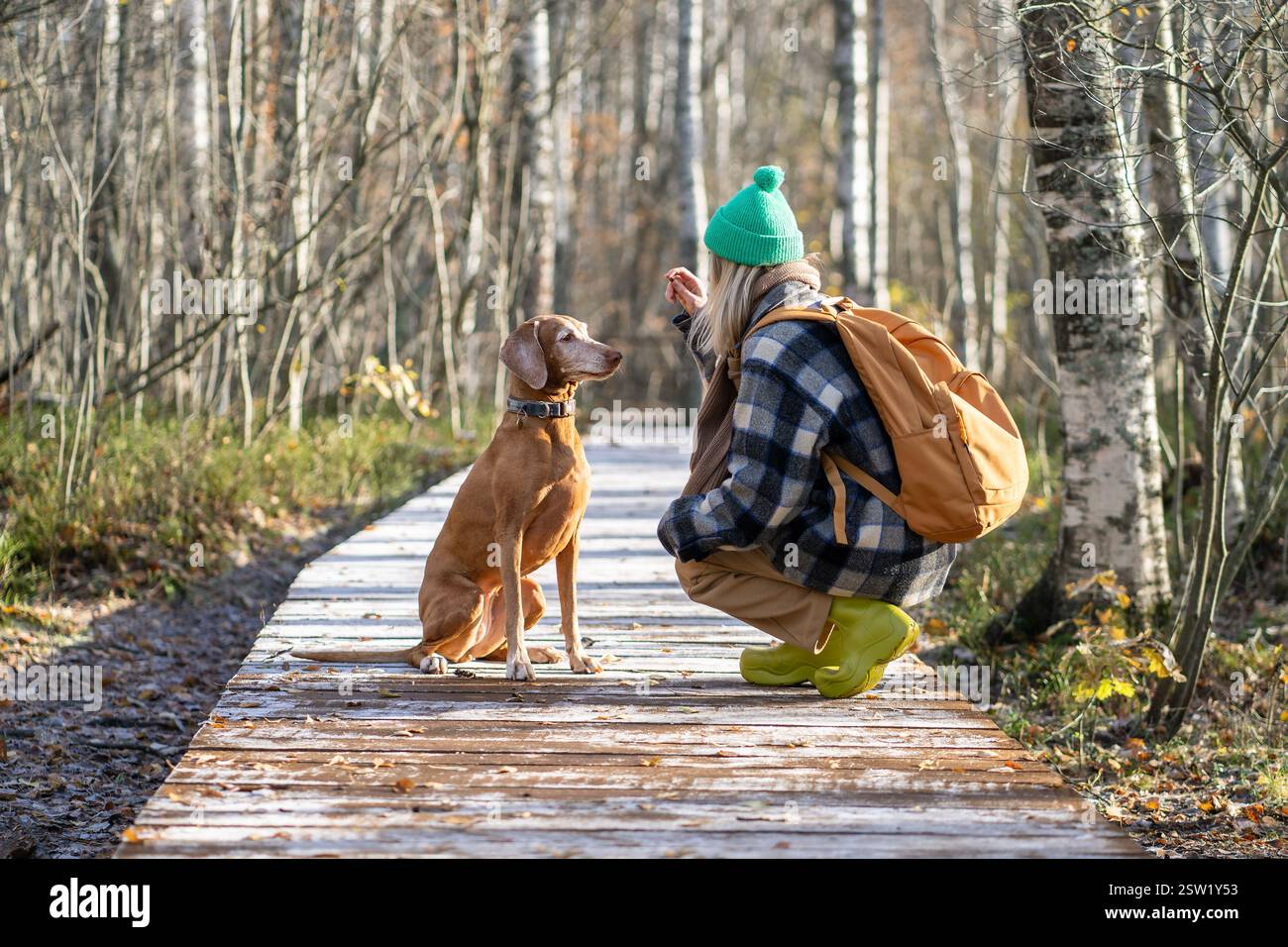 Peaceful girl traveler holding treat reward in hand, training dog ...