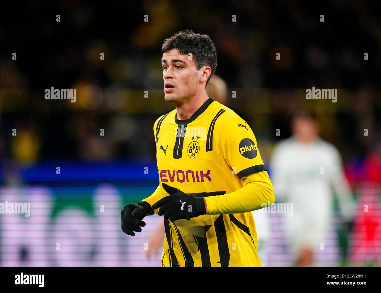 Signal Luna Park, Dortmund, Germany. 19th Feb, 2025. Giovanni Reyna of Borussia Dortmund looks ...