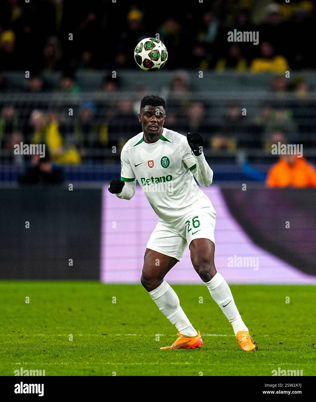 Signal Luna Park, Dortmund, Germany. 19th Feb, 2025. Ousmane Diomande ...