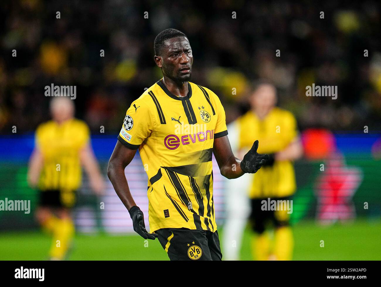 Signal Luna Park, Dortmund, Germany. 19th Feb, 2025. Serhou Guirassy of Borussia Dortmund looks ...