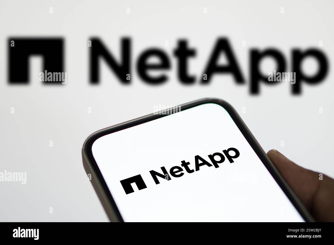 Dhaka, Bangladesh- 12 Aug 2024: NetApp logo is displayed on smartphone ...