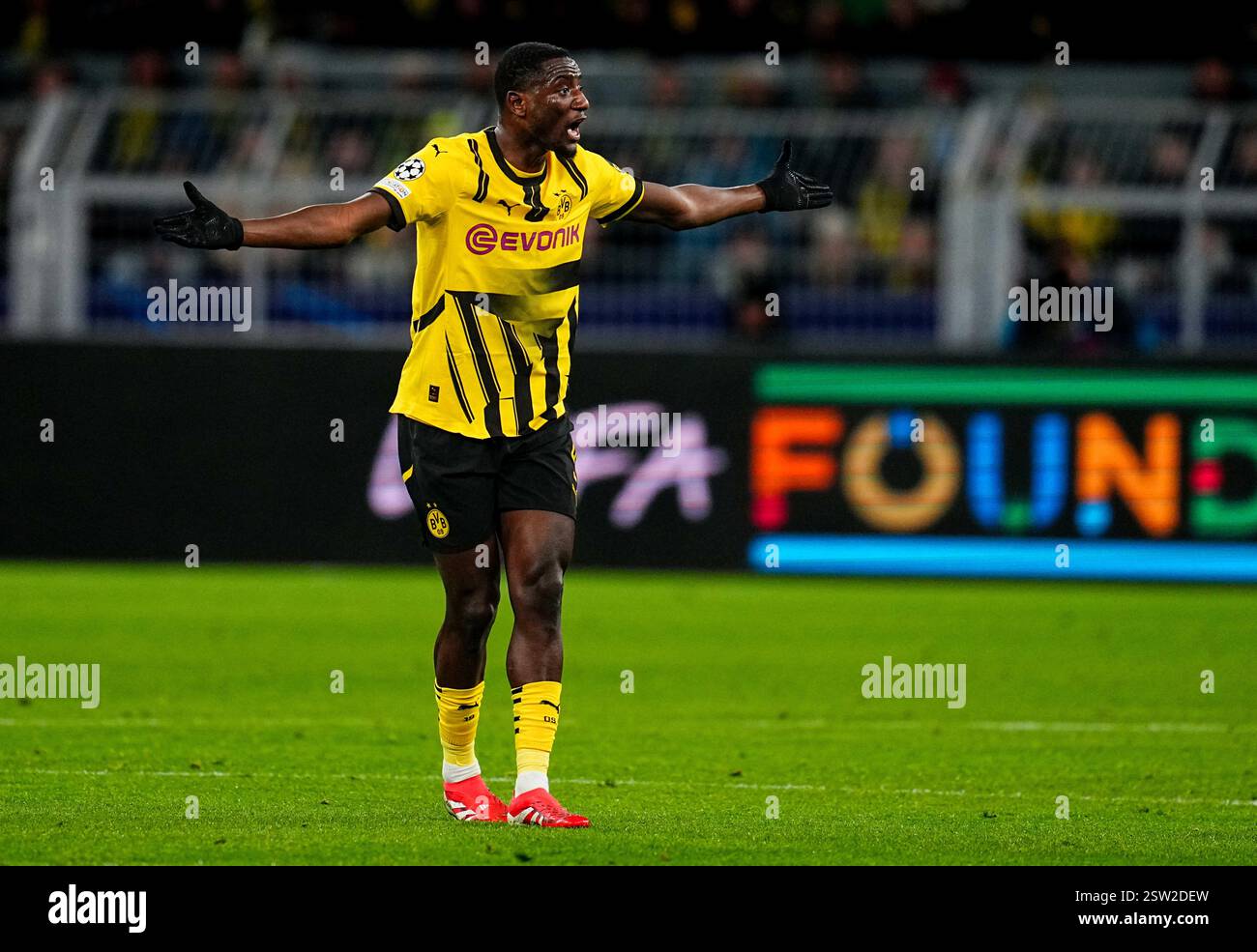 Signal Luna Park, Dortmund, Germany. 19th Feb, 2025. Serhou Guirassy of Borussia Dortmund ...