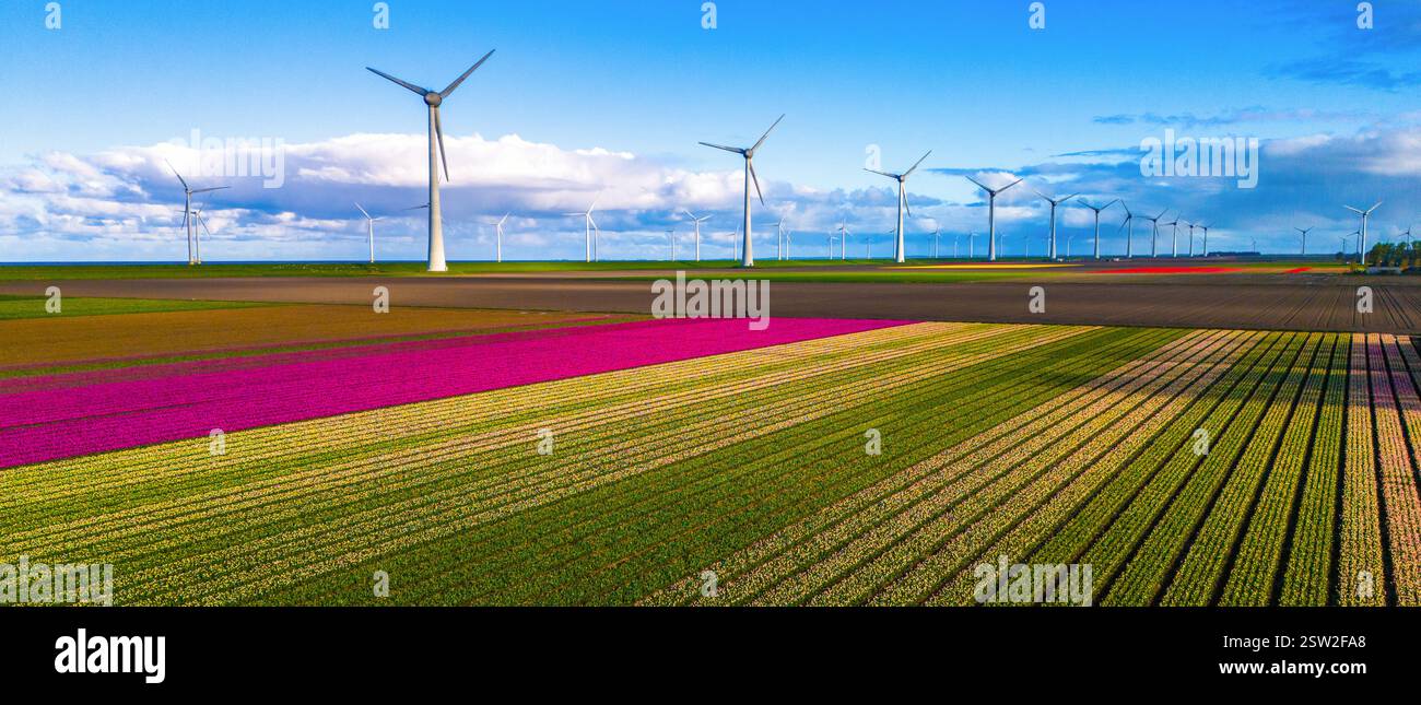 Explore the stunning landscape of Flevoland, Netherlands, where ...