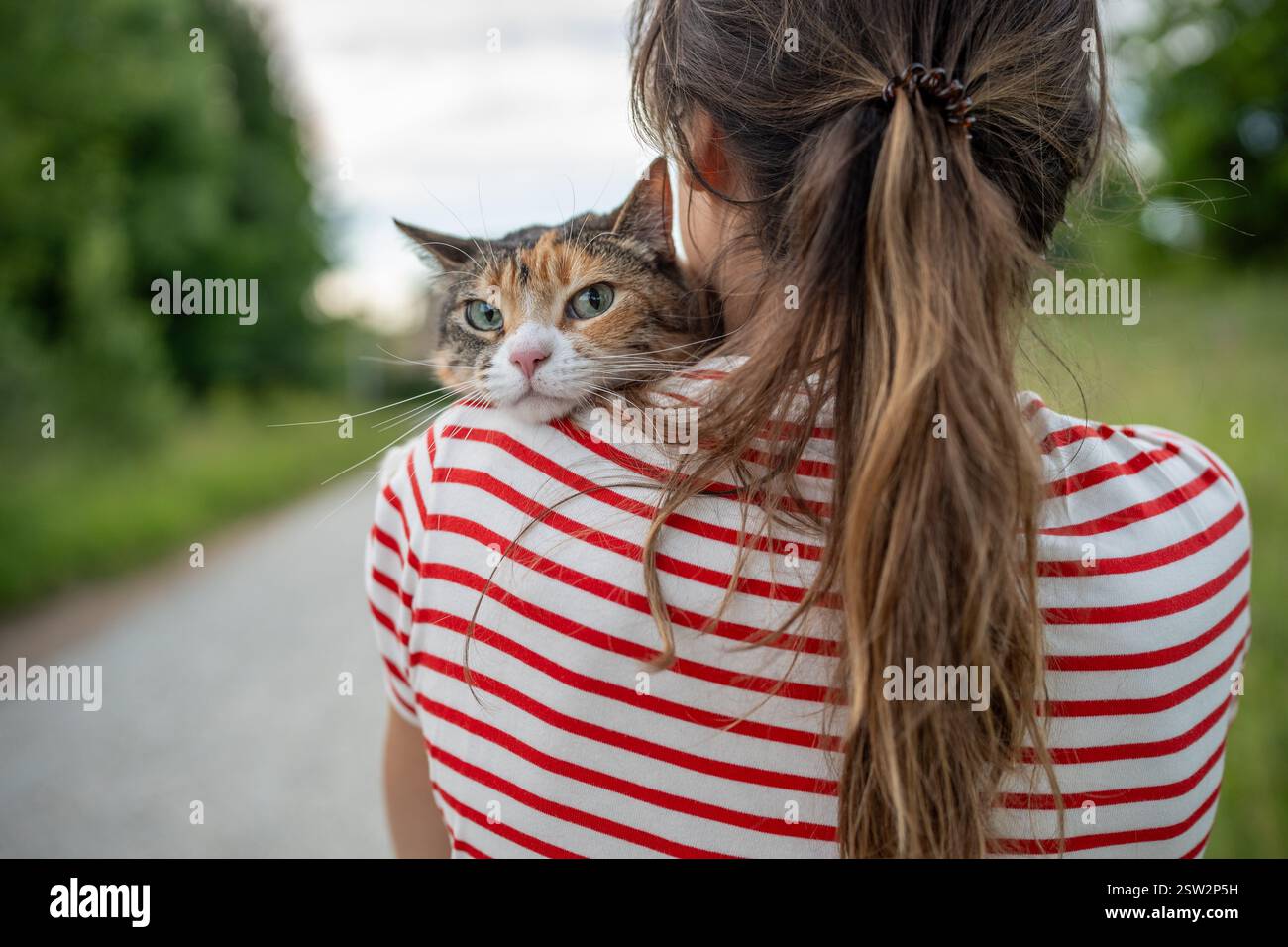 Woman going down road with calico cat, peaceful walk with pet, back ...