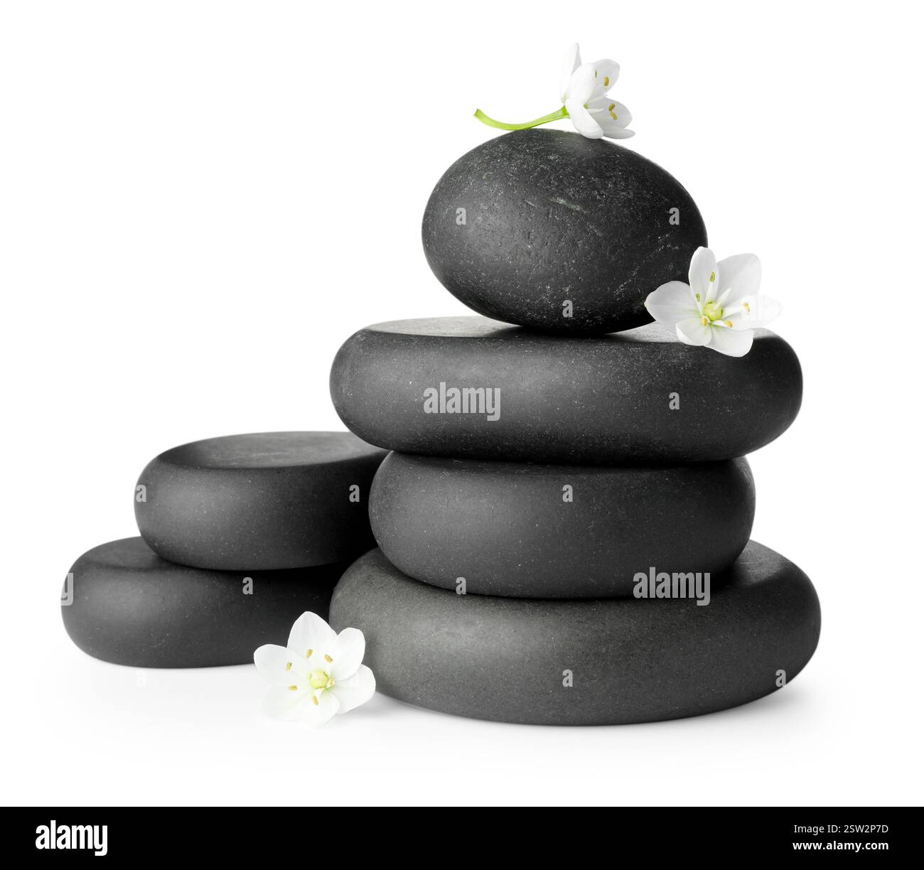 Stacked spa stones and beautiful flowers isolated on white Stock Photo ...