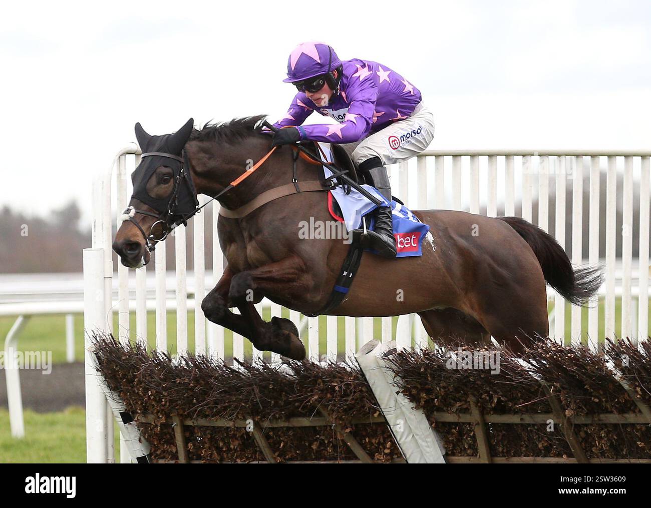 File photo dated 25-02-2023 of Rubaud who can thrive on the expected ...