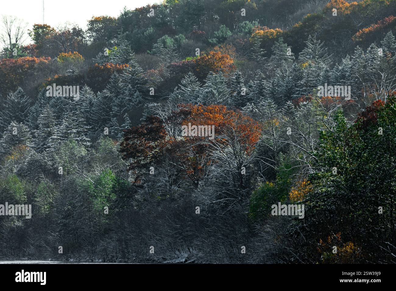 Colour landscape photos of Springbank Park in London, Ontario, Canada ...