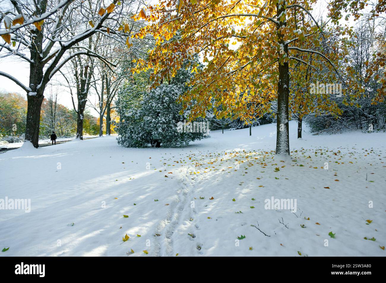 Colour landscape photos of Springbank Park in London, Ontario, Canada ...