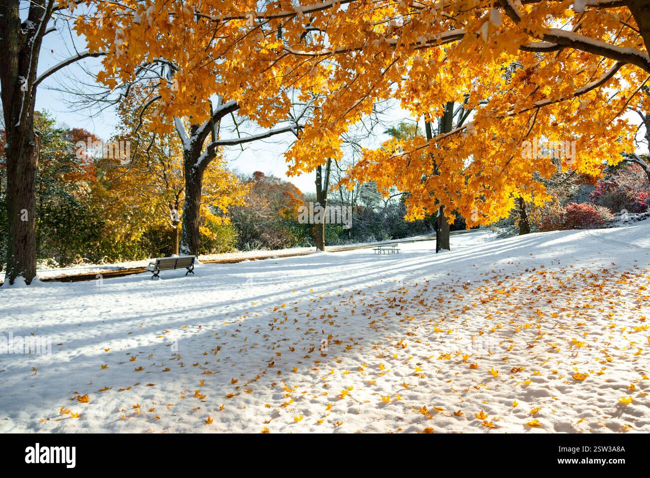 Colour landscape photos of Springbank Park in London, Ontario, Canada ...