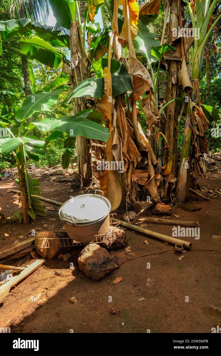 Primitive cooking made with a pot on a fire with stones on the island ...