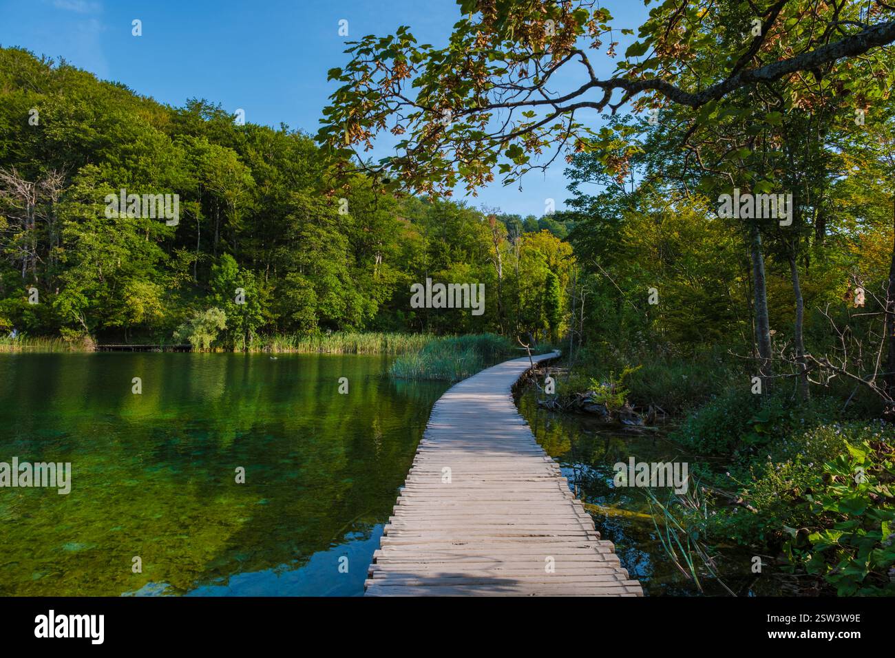 A scenic wooden path winds through lush greenery by the clear waters of ...