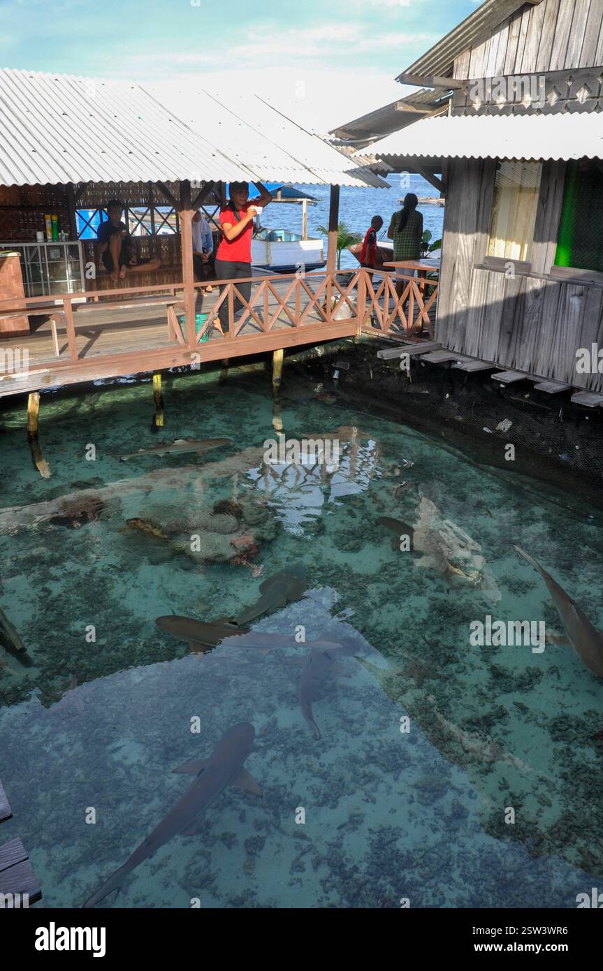 Karimunjawa island, Jepara regency, Central Java, Indonesia - June 11 ...