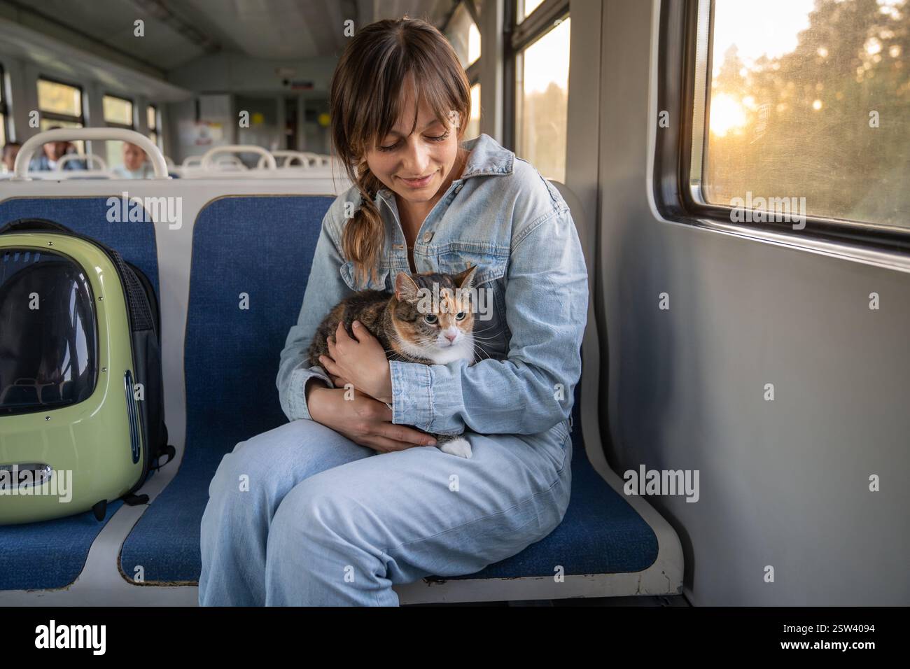 Cat train sit hi-res stock photography and images - Alamy