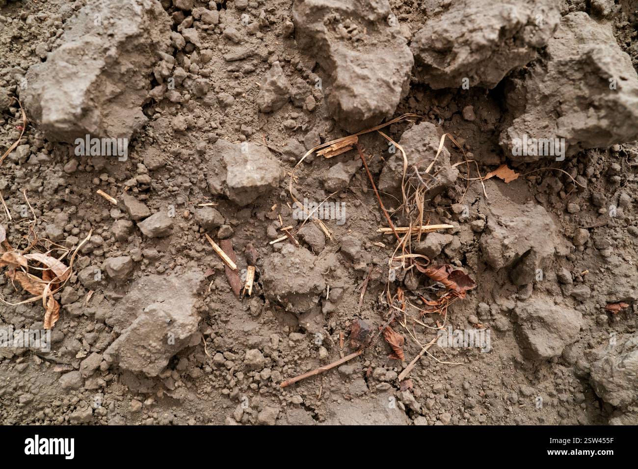 DEN HAAG, NETHERLANDS - FEBRUARY 19: Art installation made by Dutch ...