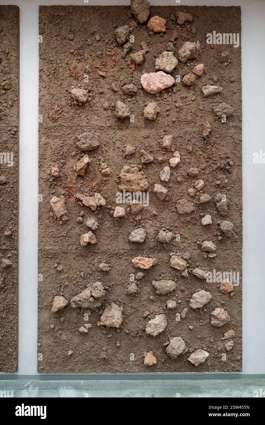 Den Haag, Netherlands. 19th Feb, 2025. DEN HAAG, NETHERLANDS - FEBRUARY ...