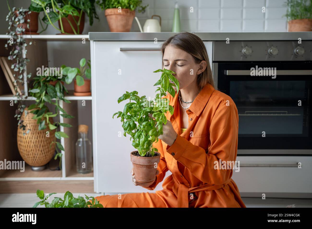 Inhales aroma of home grown flavour basil in pot female sniff hi-res ...