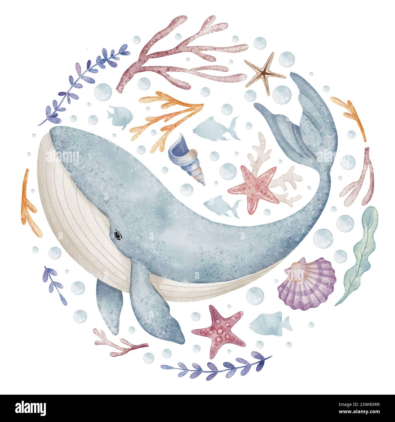 Watercolor illustration of Whale surrounded by corals, seaweed, shells ...