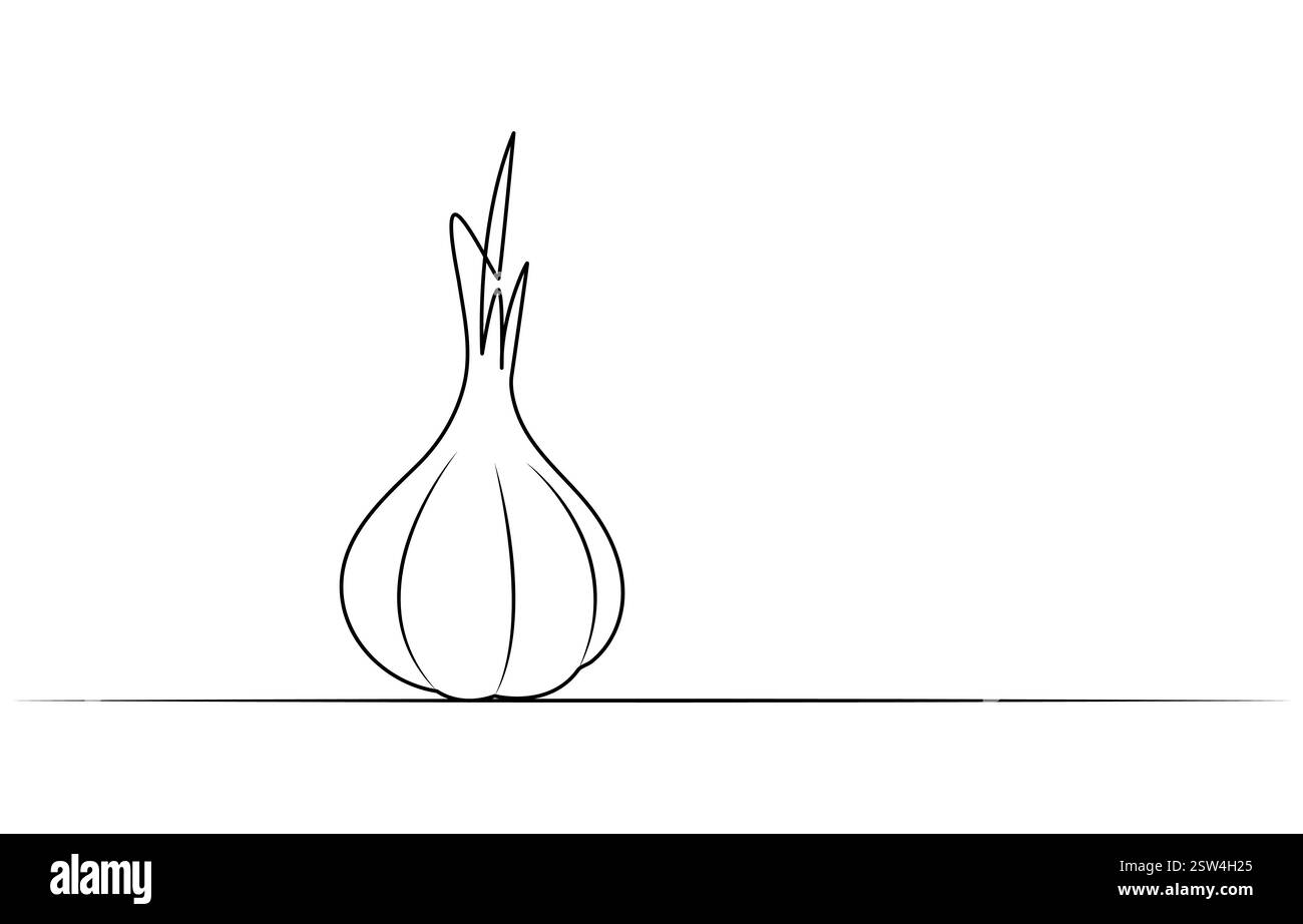 Garlic vector illustration, background. One line drawing art ...
