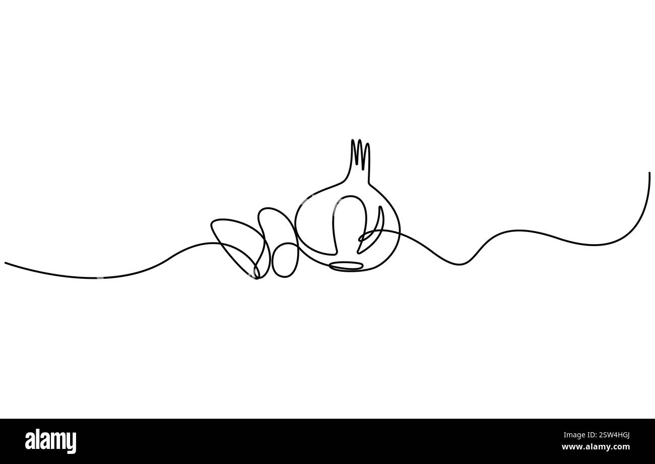 Garlic vector illustration, background. One line drawing art ...