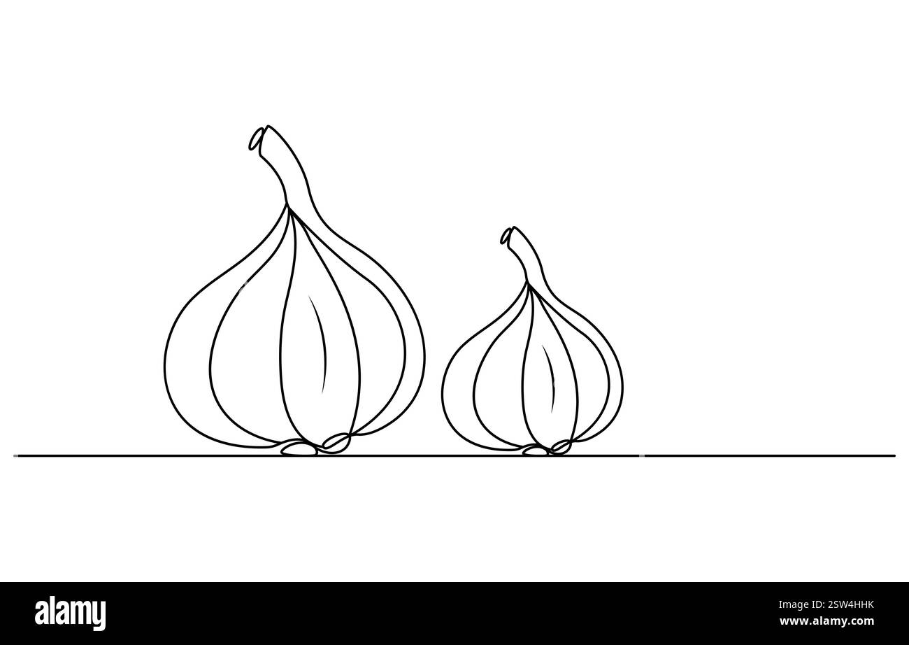 Garlic vector illustration, background. One line drawing art ...