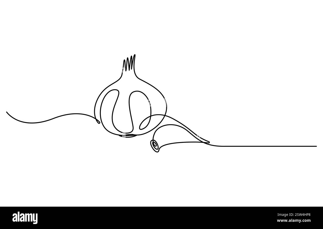 Garlic vector illustration, background. One line drawing art ...