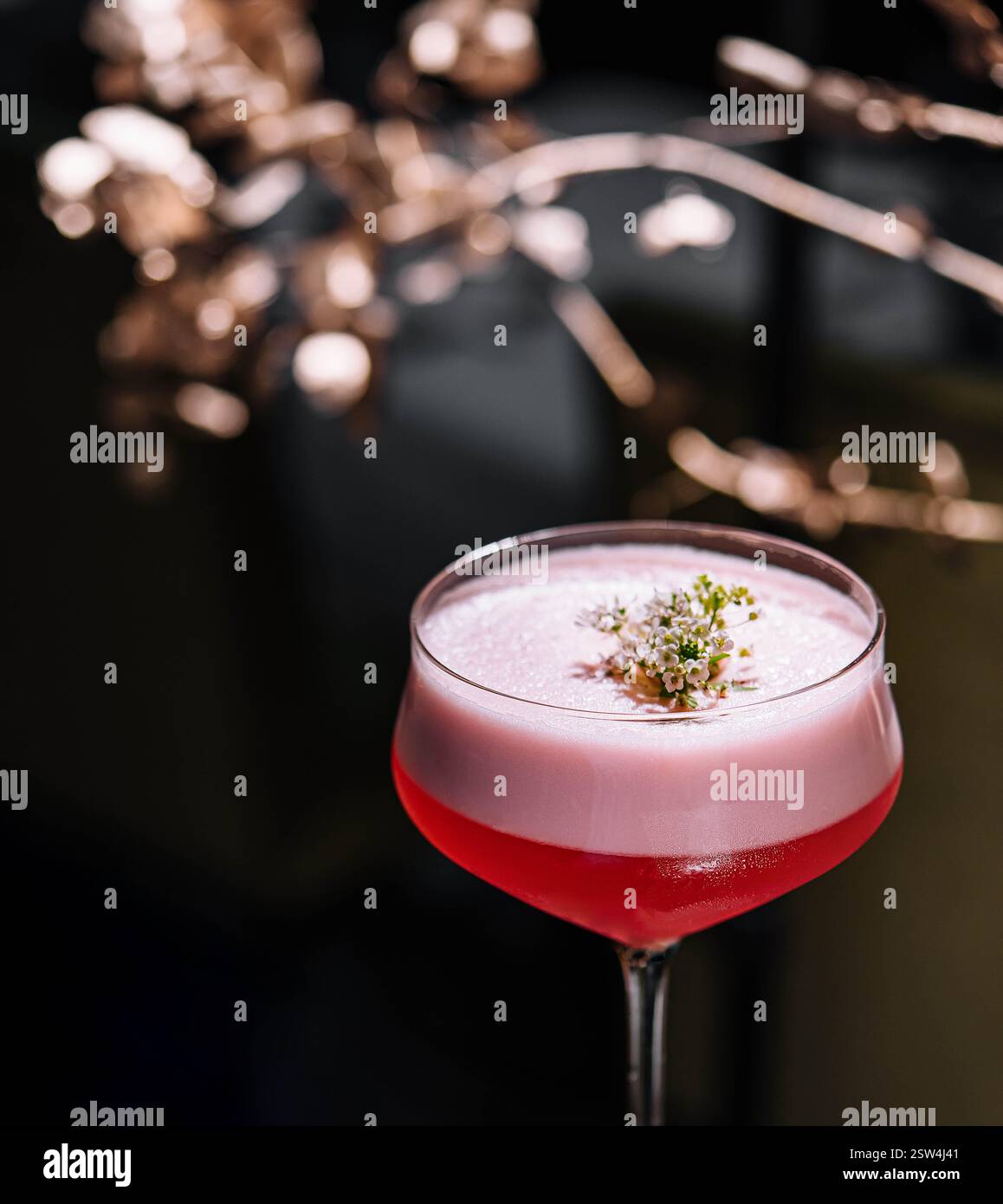 Lady bourbon hi-res stock photography and images - Alamy