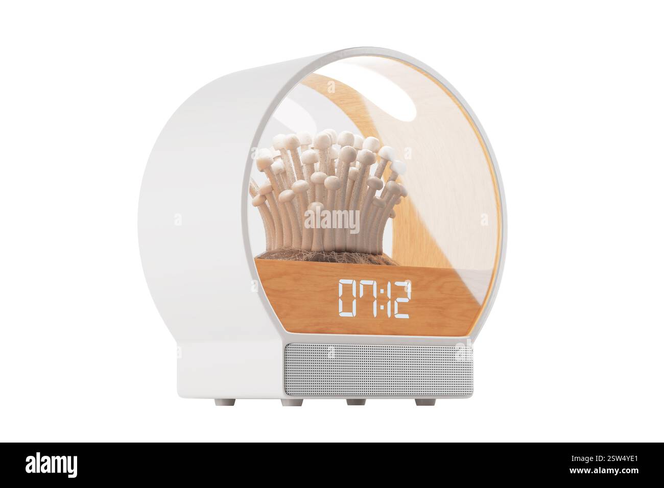 Table Clock with Glass Bulb for Growing Shimeji Mushrooms and Speaker ...