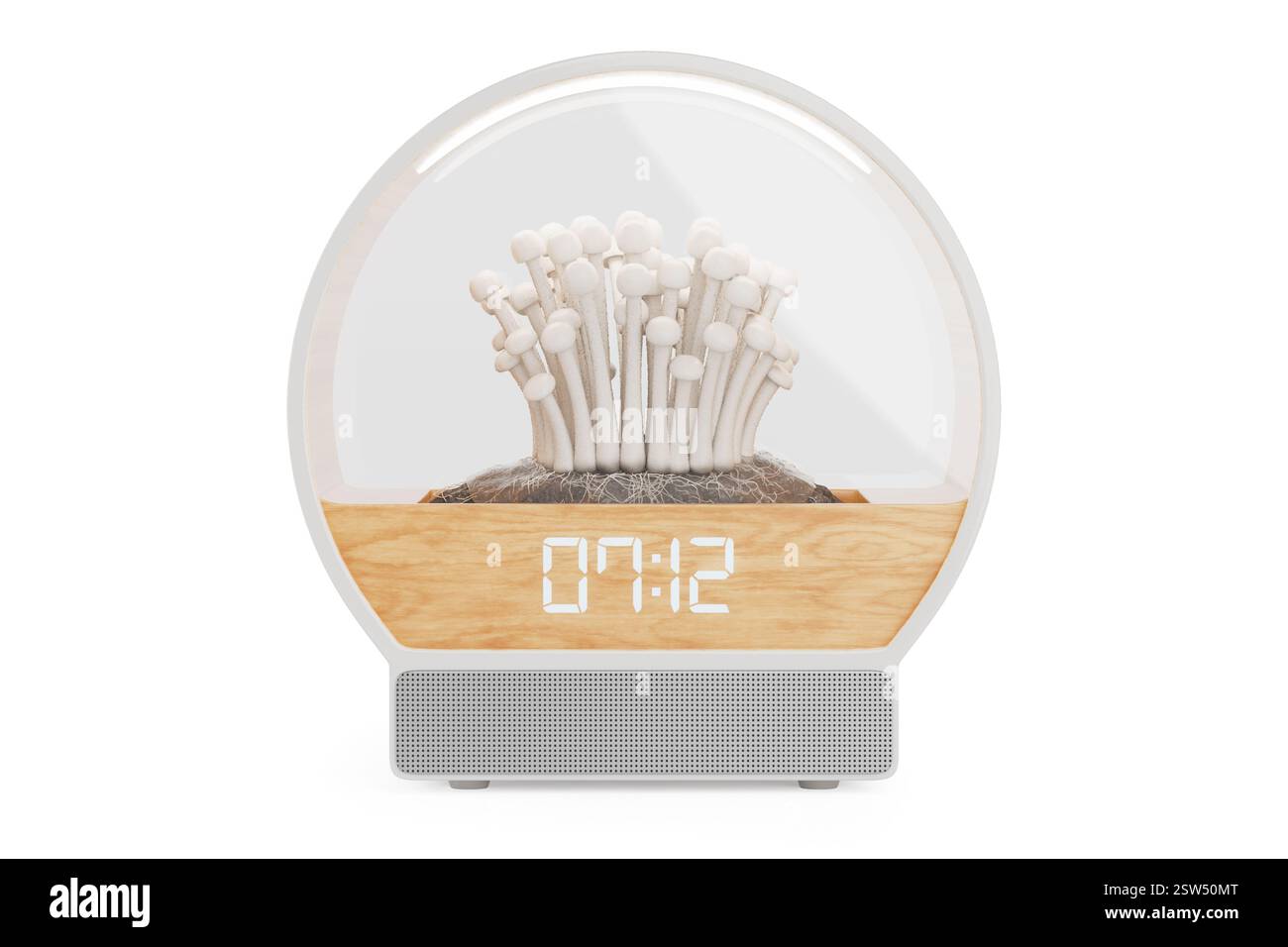Table Clock with Glass Bulb for Growing Shimeji Mushrooms and Speaker ...