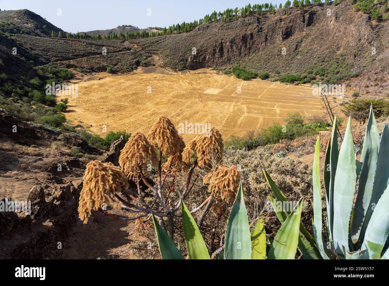 Volcano caldera - Caldera de los Marteles. Gran Canaria. Canary Islands ...