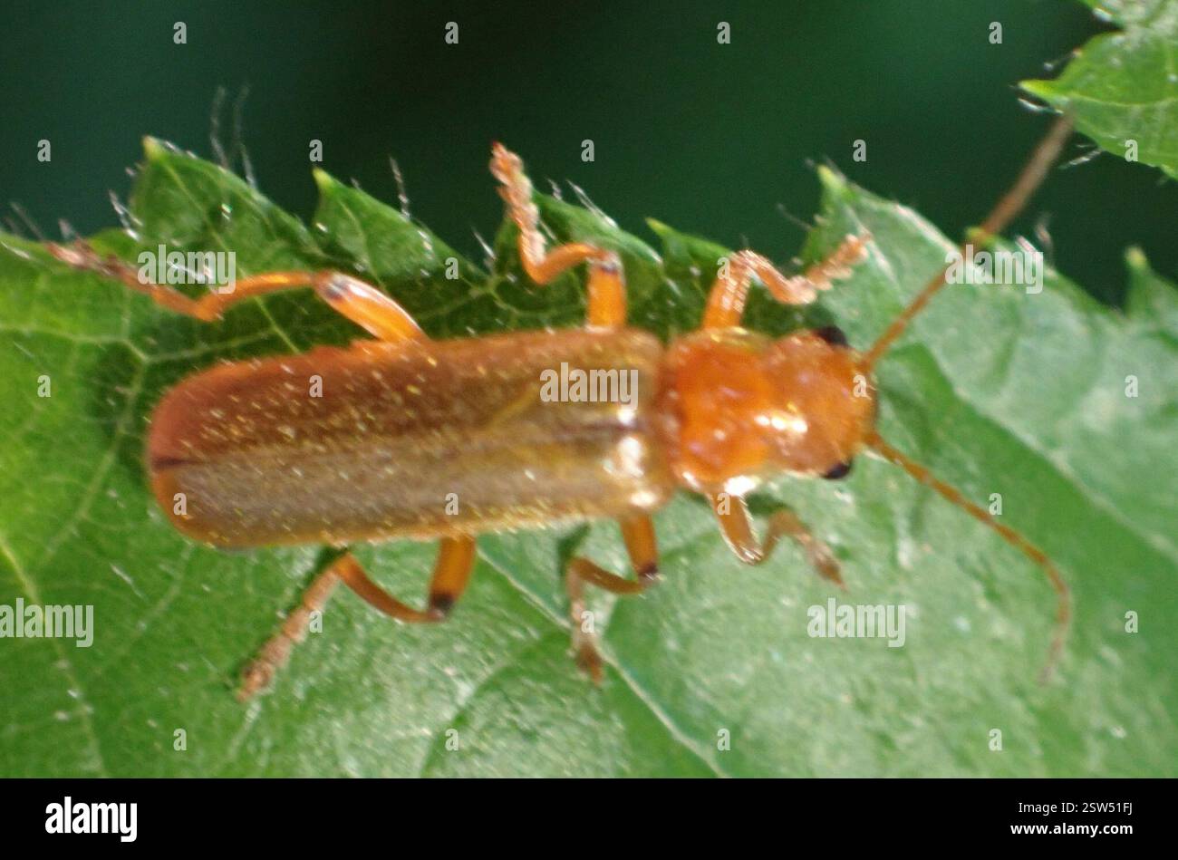 Tiend hi-res stock photography and images - Alamy