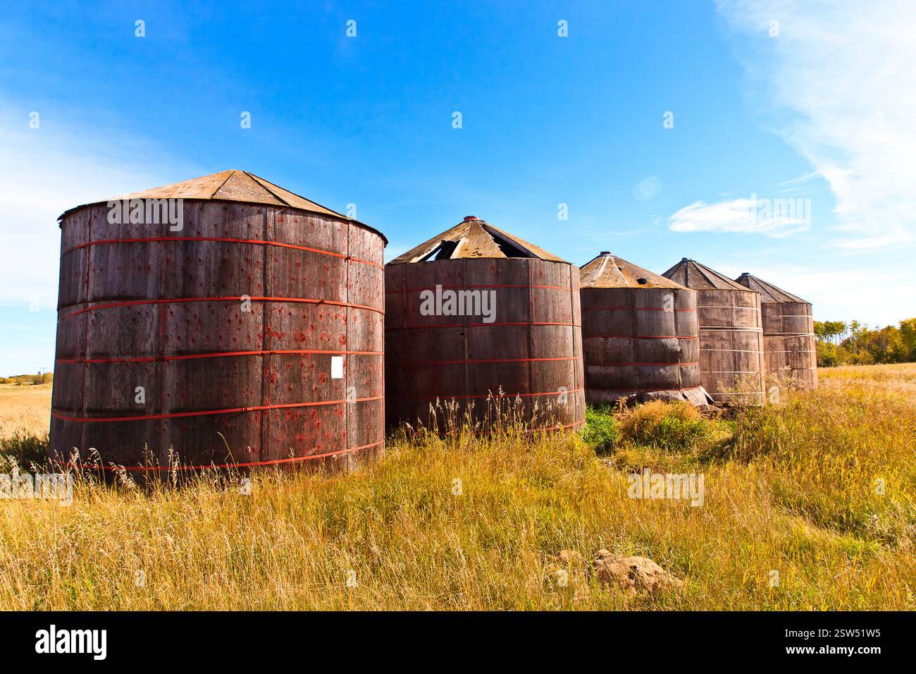 Row of old, rusted metal barrels sit in a field. The barrels are empty ...