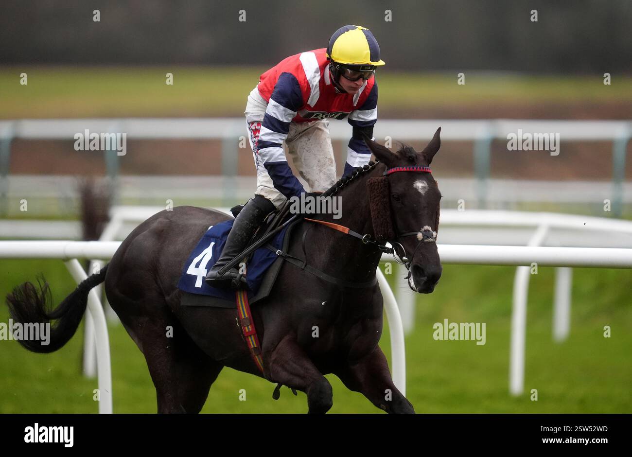 Fortunefavorsdbold ridden by jockey Jack Tudor during the Sri Lanka ...