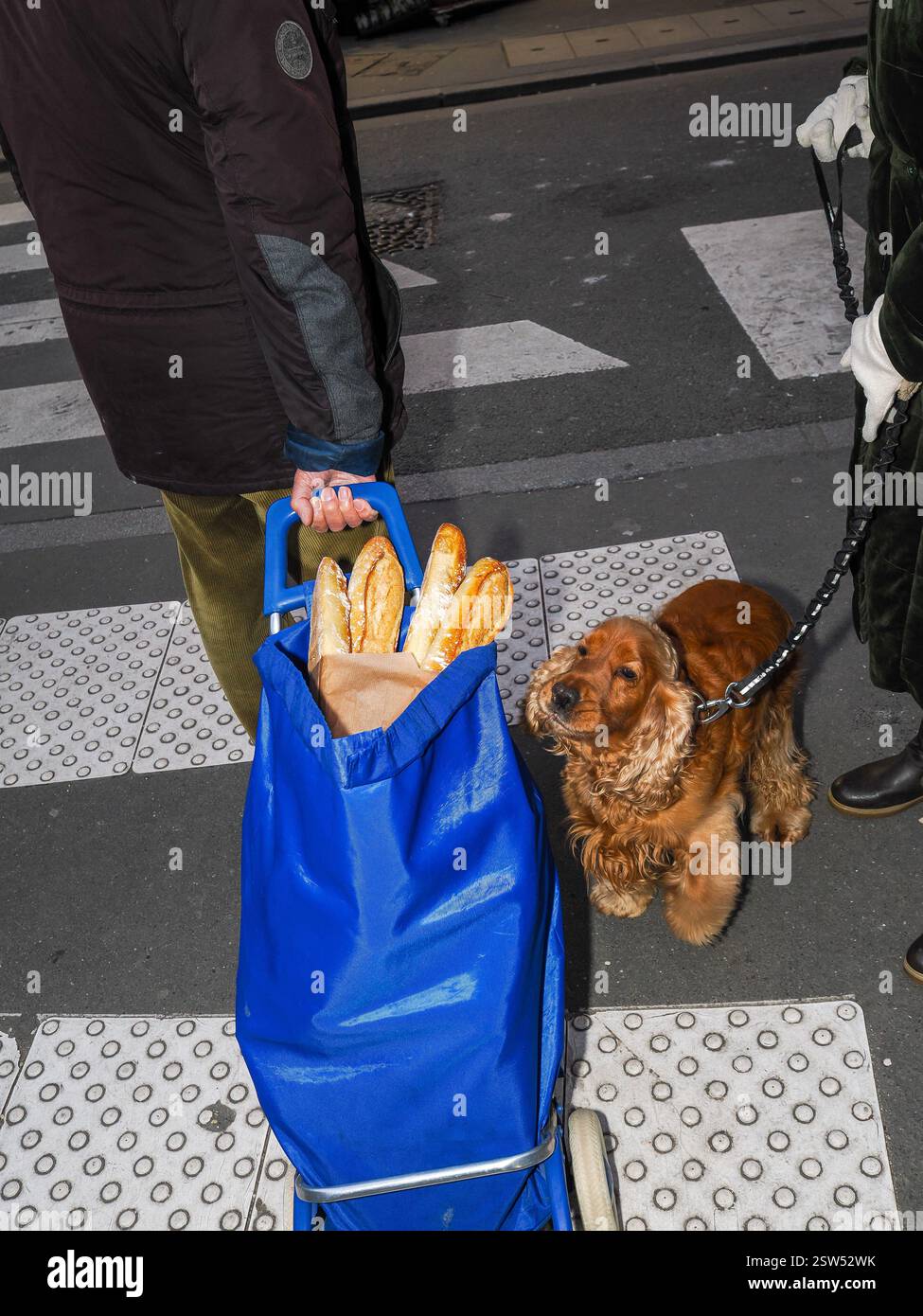 Out and about in Paris shooting a food themed reportage with the Om ...