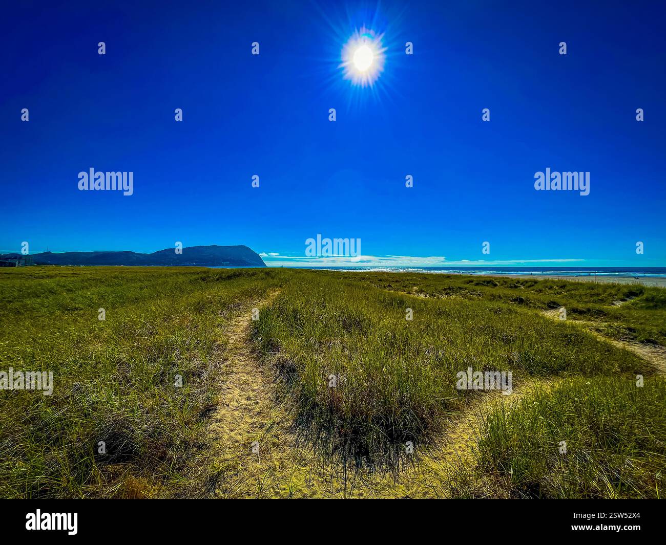 Oregon trail hi-res stock photography and images - Alamy
