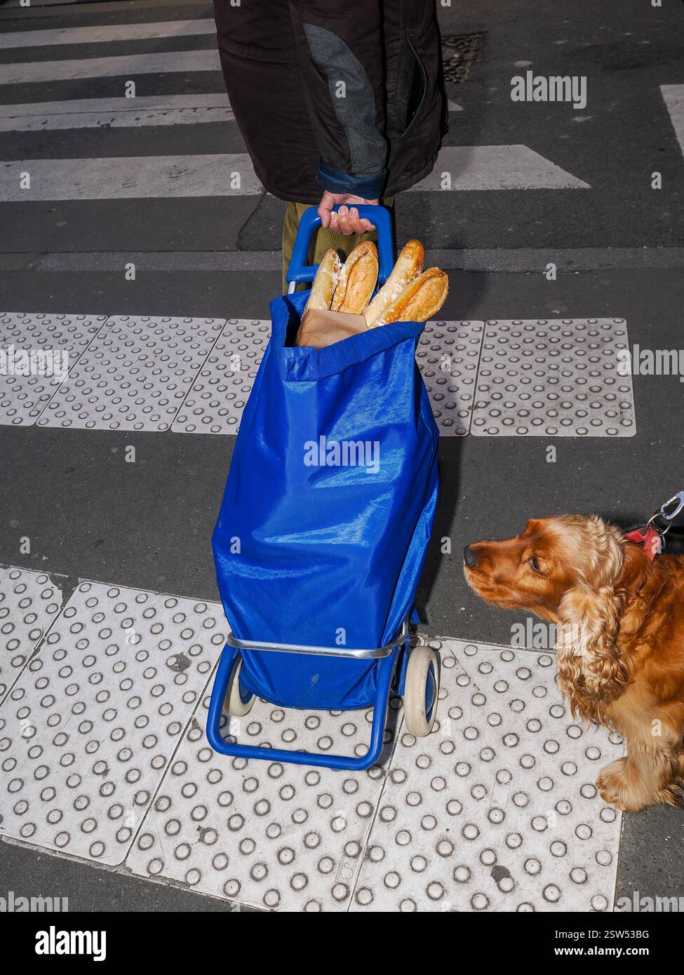 Out and about in Paris shooting a food themed reportage with the Om ...