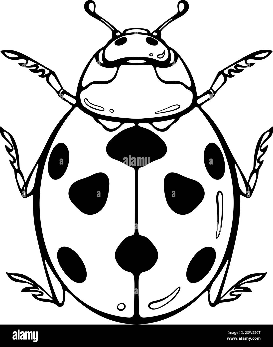 Ladybug top view line art Stock Vector Image & Art - Alamy