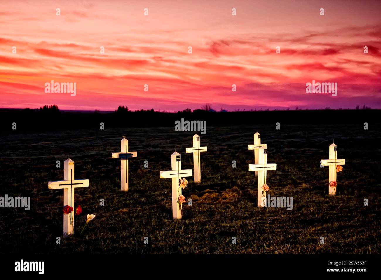 Row of white crosses are lined up in a field. The sky is a beautiful ...