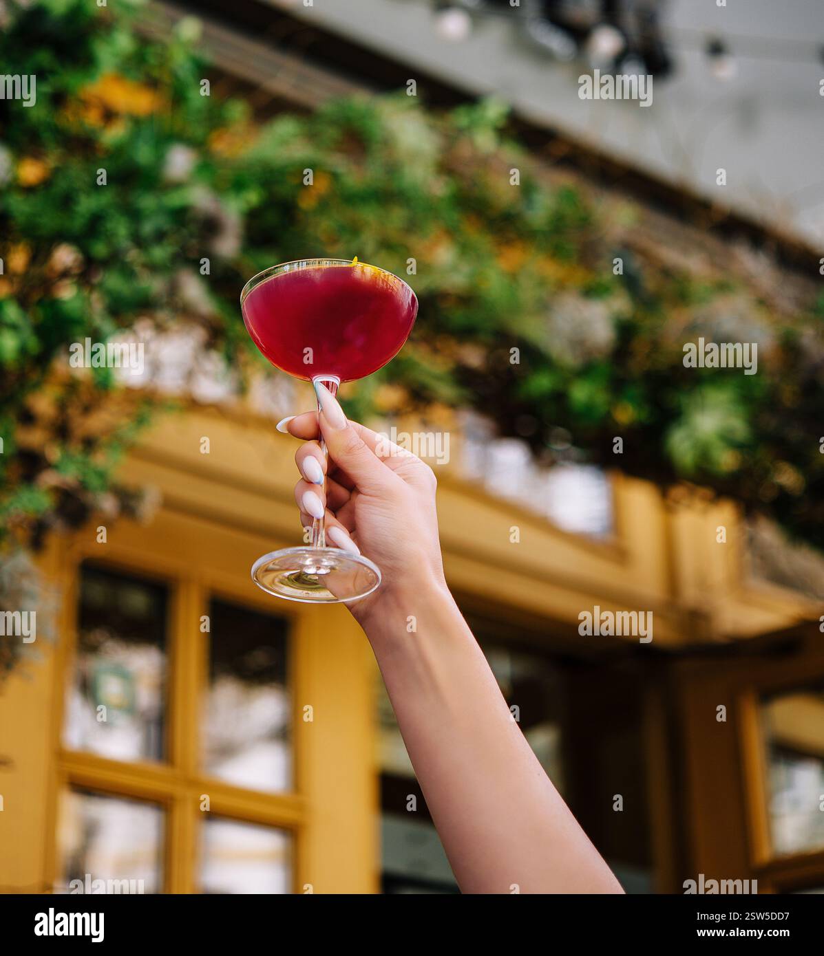 Elegant hand holding cocktail outdoors Stock Photo - Alamy